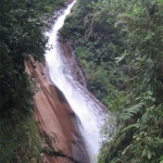 Ucayali :: Las Riquezas del Perú